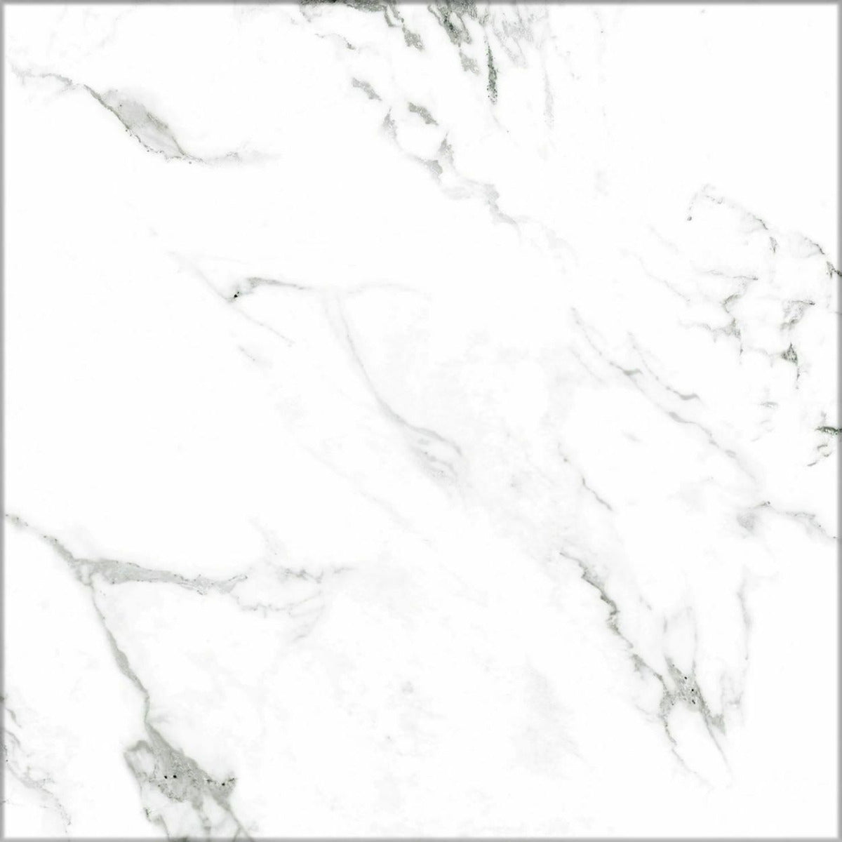 FULL TILE SAMPLE Florentina GRANDE Calacatta White 50cm x 50cm — Planet ...